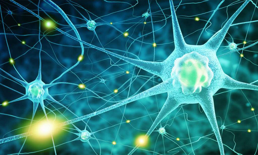 Fundamentals of Bioelectricity – Edukite
